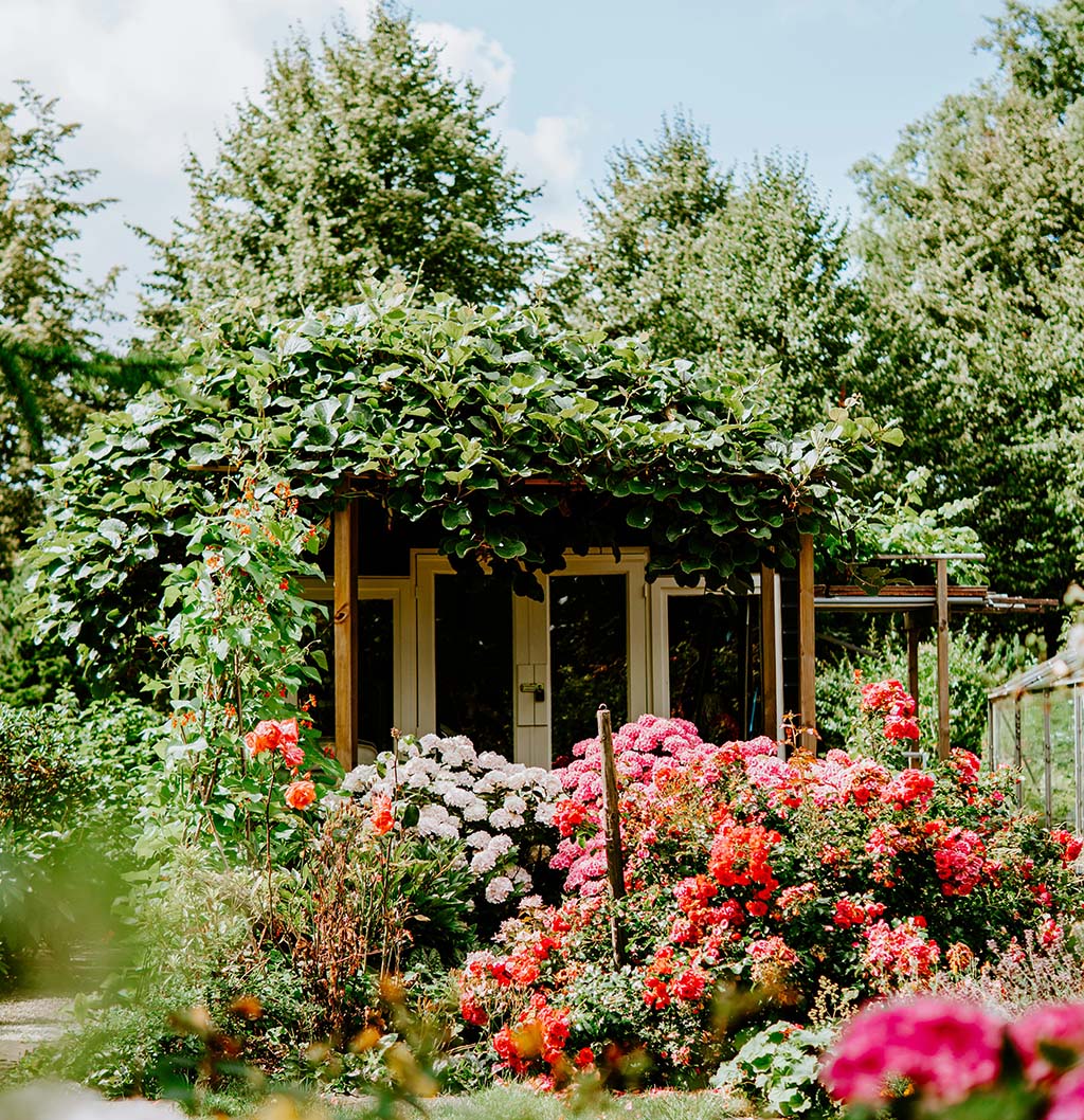 Market Harborough Upcoming Events - Market Harborough